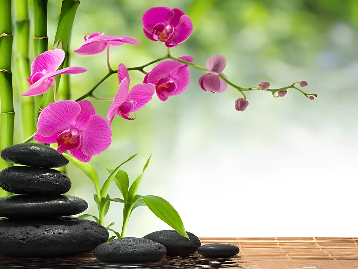 Malen nach Zahlen Erwachsene - Bambus, schwarze Steine und lila Orchideen – Liebeart.de