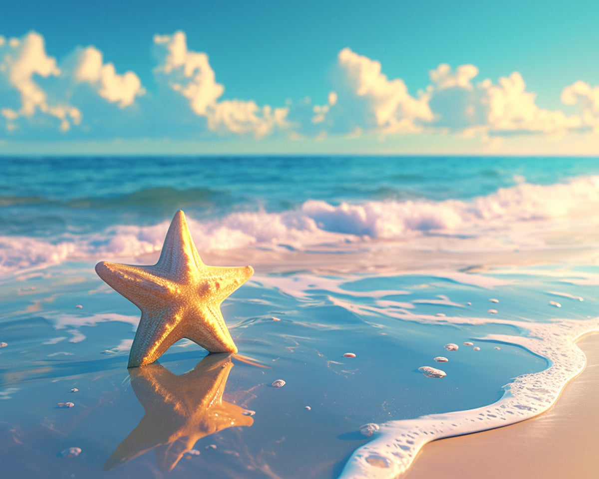 Malen nach Zahlen Erwachsene - Seestern am Strand – Liebeart.de