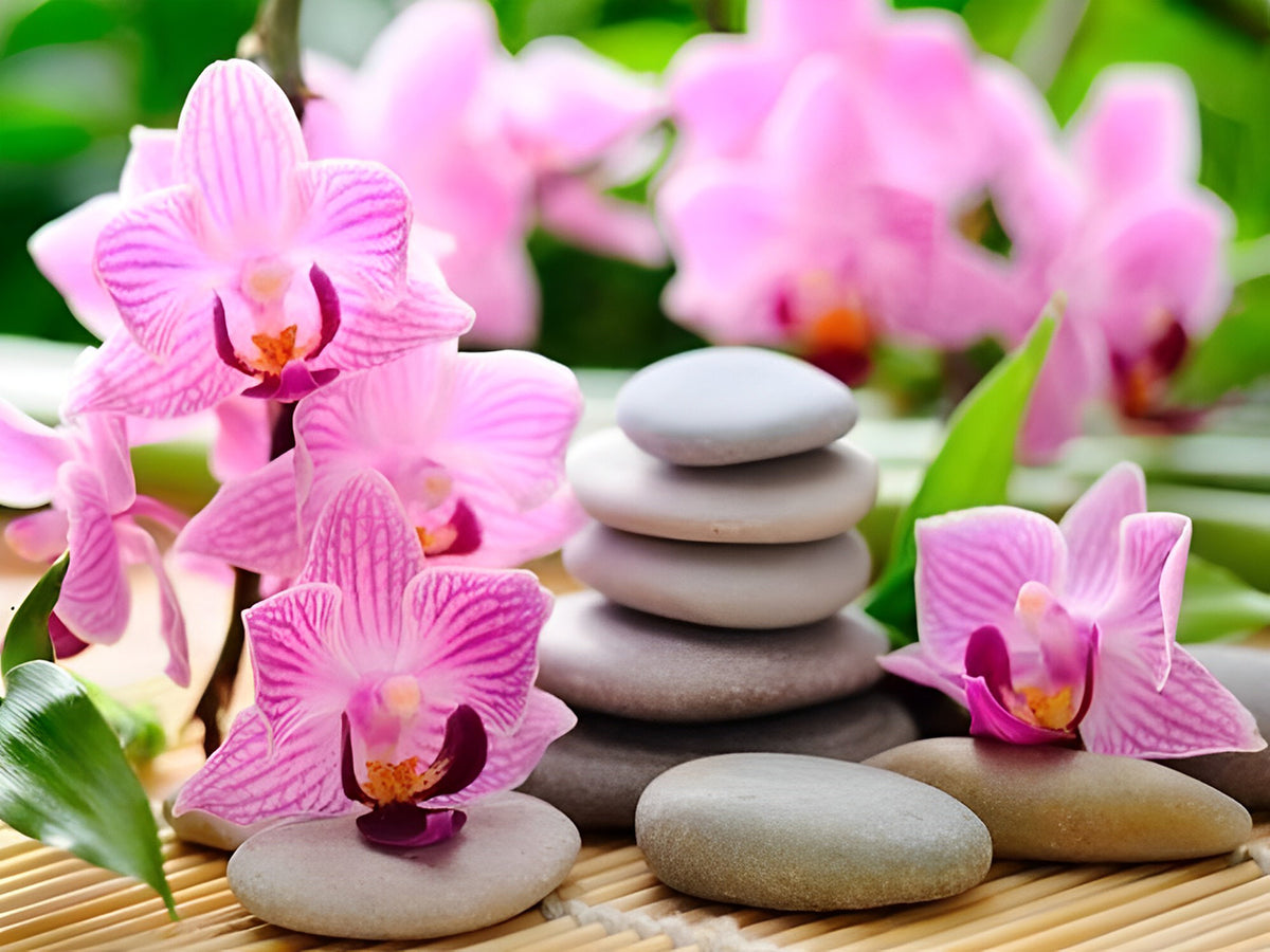 Malen nach Zahlen Erwachsene - Steine und rosa Orchideen – Liebeart.de